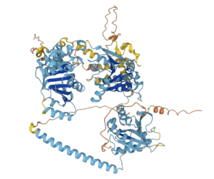 Eisbach Bio – Targeting Synthetic Lethality in Cancer